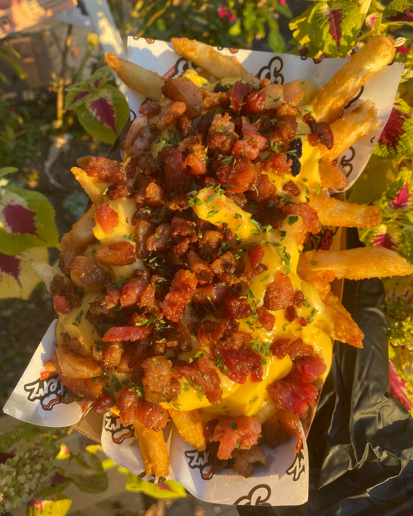 Bun Busterz Gourmet Dogs | Easton Restaurant Week